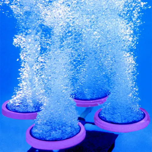 Lake and Pond Aeration Basics | Danbury Fish Farms